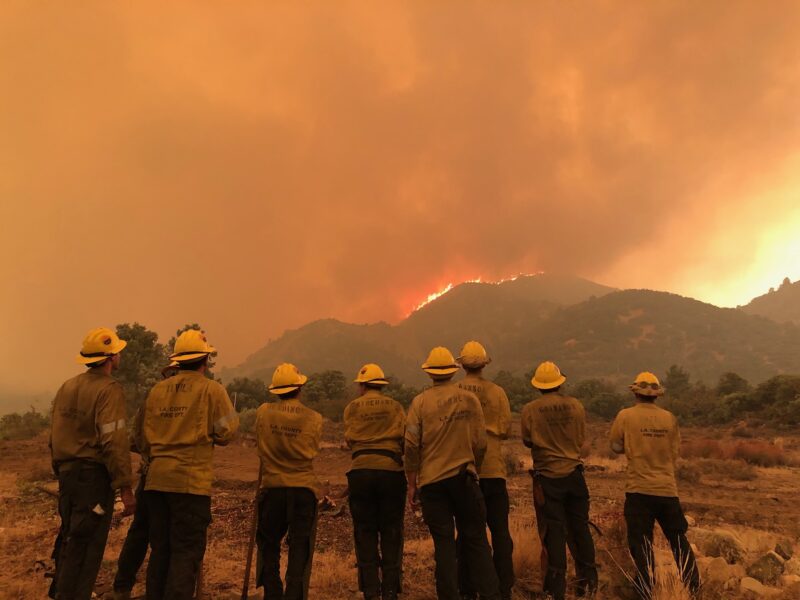 Bobcat Fire Status - Fire Department