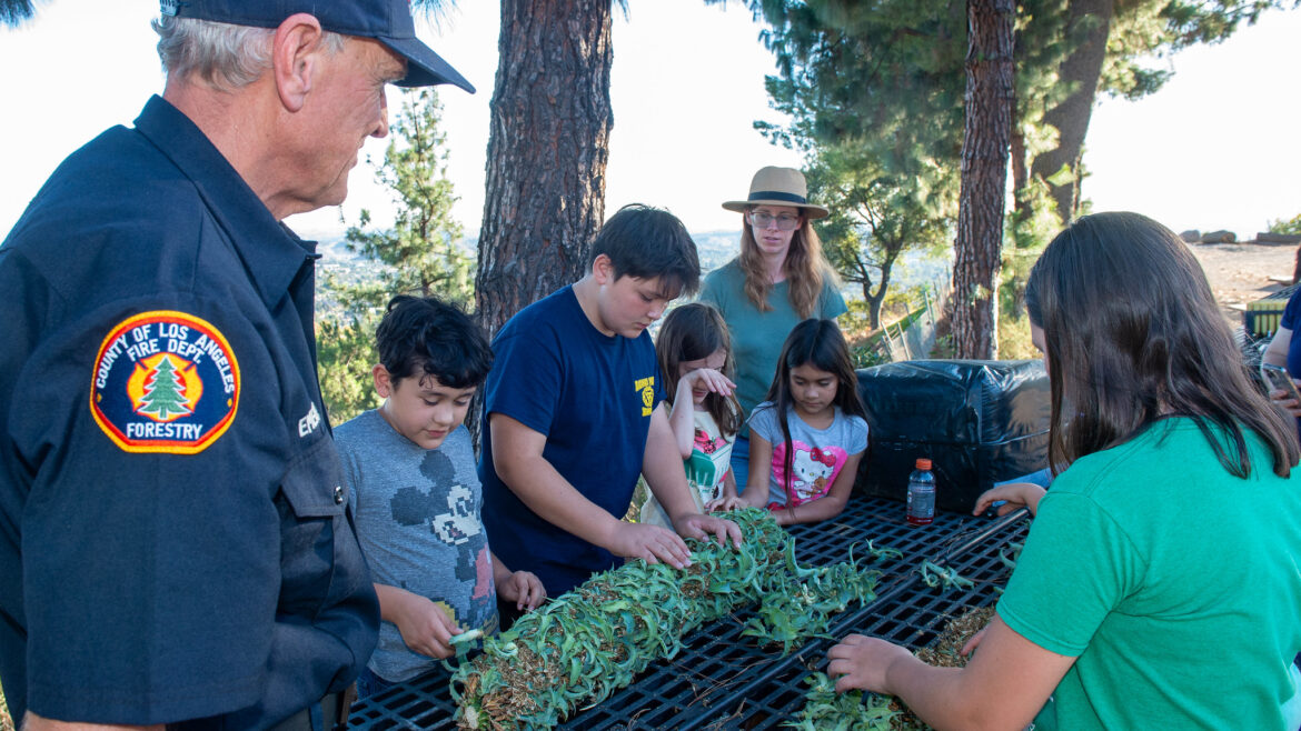 Forestry Division Welcomes 4-H Community ClubForestry Division Welcomes ...